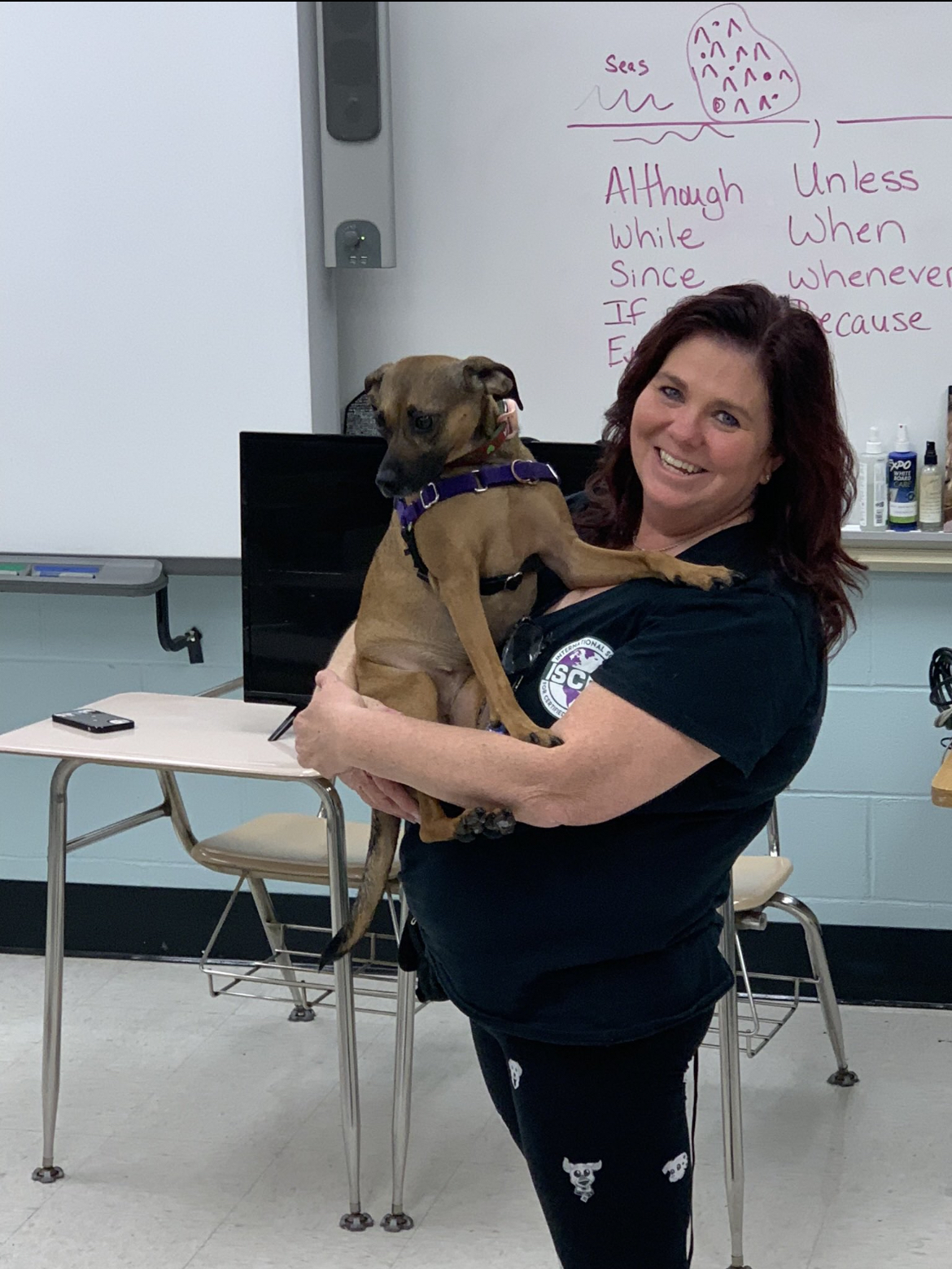 Dog Savvy Kids – Teaching Our Children the Language of the Canine.